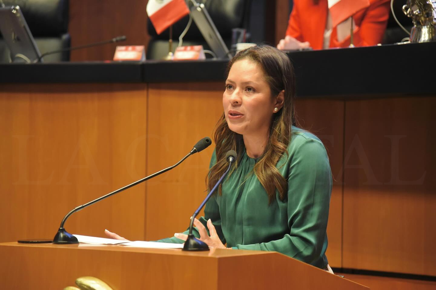 ¿Quién es Karen Castrejón, la apuesta del Verde a la gubernatura de ...